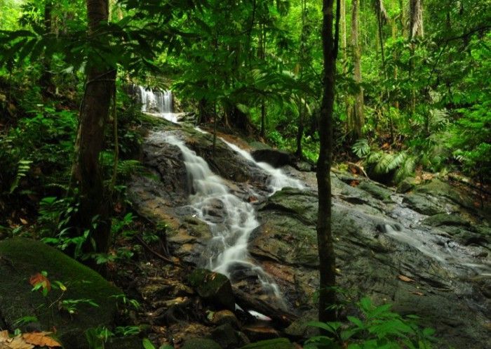 The right trek: 5 hiking trails to conquer in KL | Lifestyle Asia Kuala ...