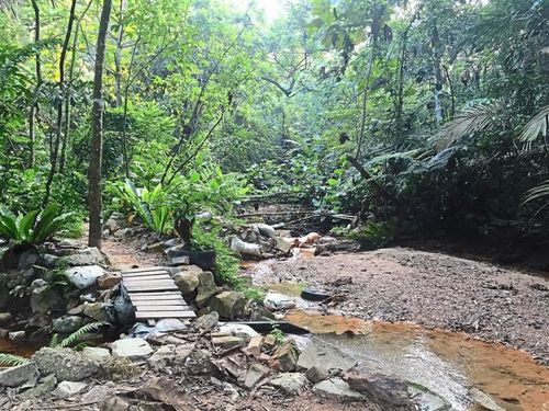 The right trek: 5 hiking trails to conquer in KL | Lifestyle Asia Kuala ...