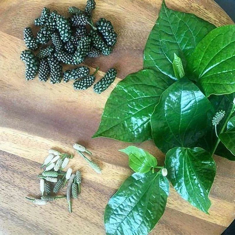 Walk on the wild side: 5 foods to forage in Singapore | Lifestyle Asia ...