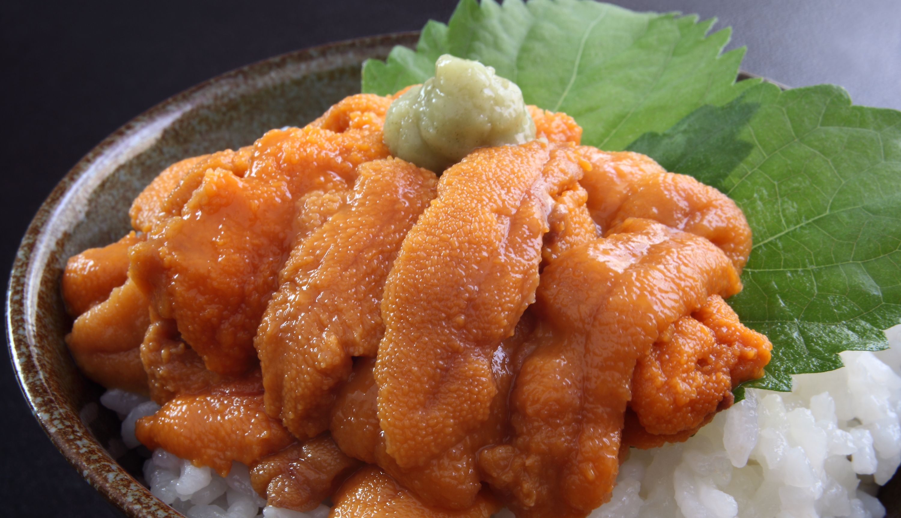 8 must-try uni dishes in Hong Kong | Lifestyle Asia