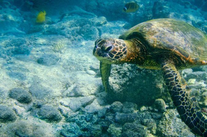 Sun kissed: Destinations within the Caribbean and how to get there ...