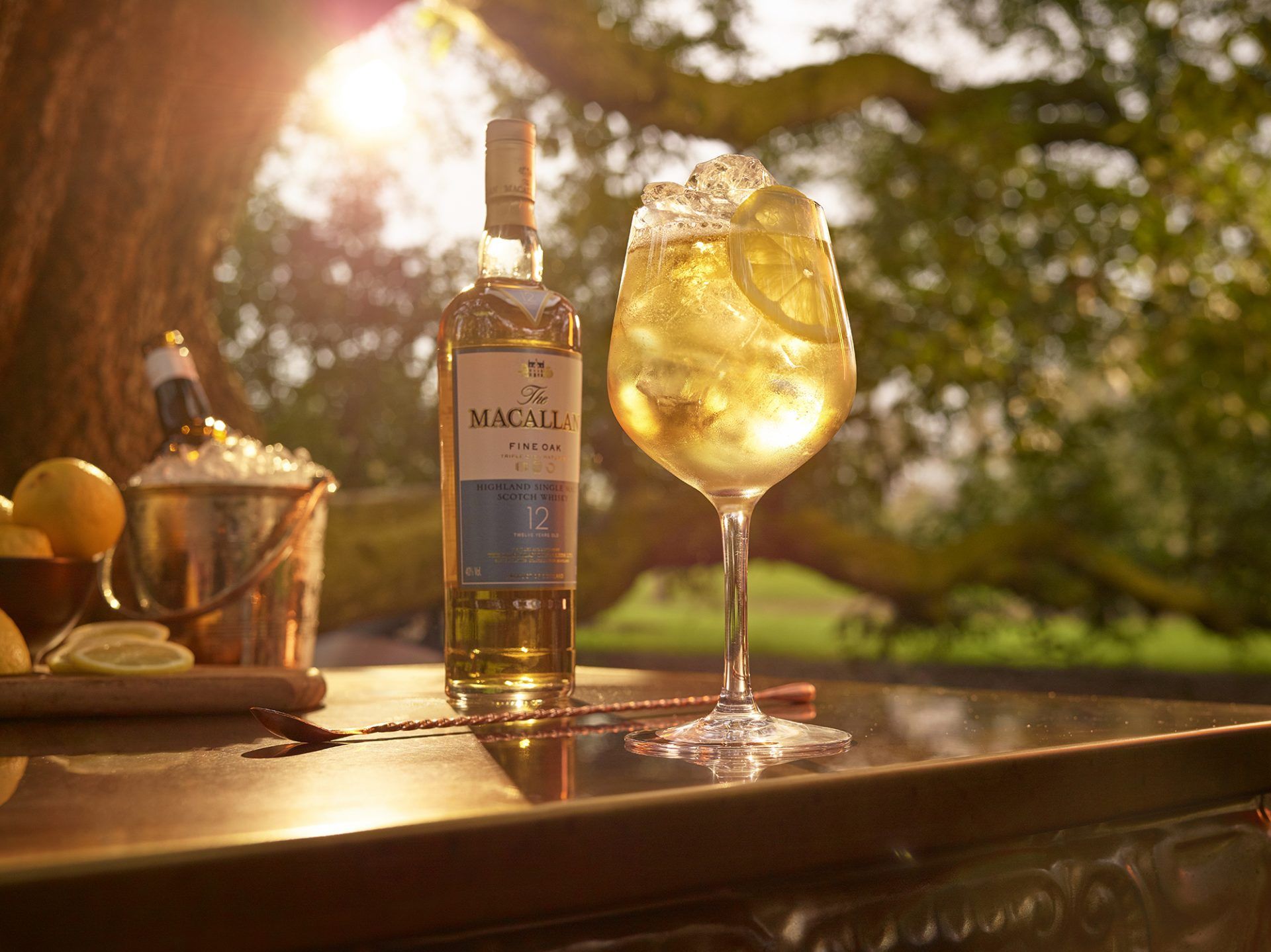 Shake and stir The Macallan to make these cocktails at home | Lifestyle ...