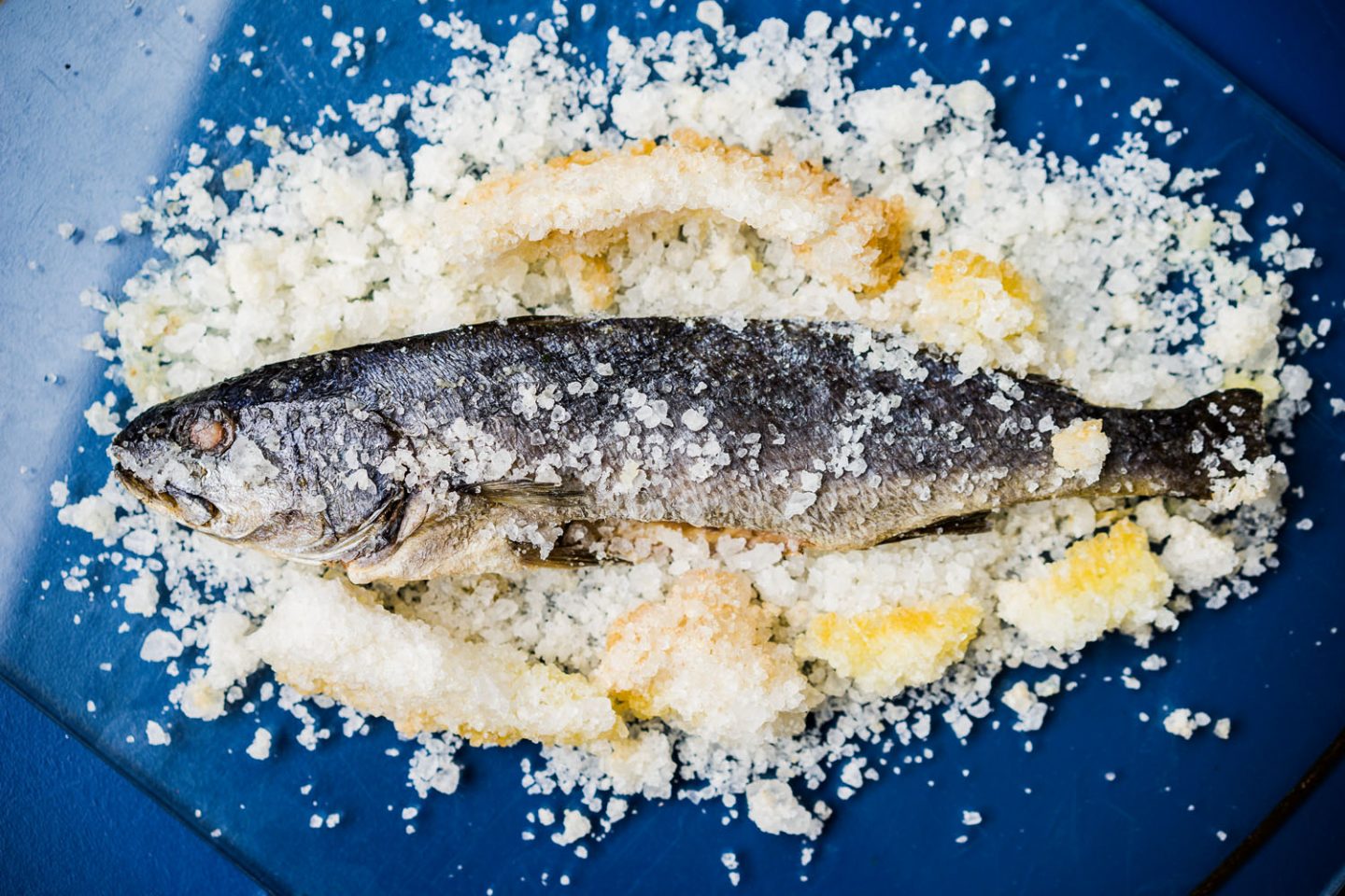 The Cheat Sheet: Greek restaurants, safari lodges, and the best Cruise ...