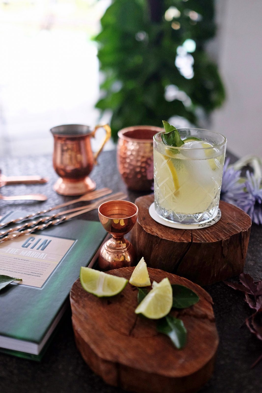 Review: Wildseed Bar pairs garden-to-glass cocktails with hearty ...