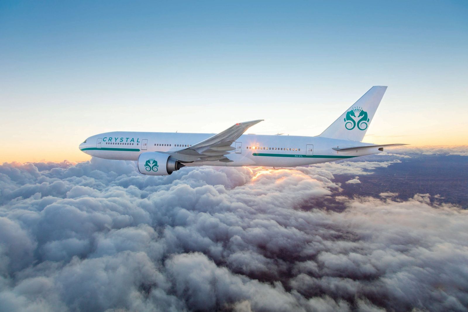 Crystal Skye is a new private jet with an executive chef and a huge ...