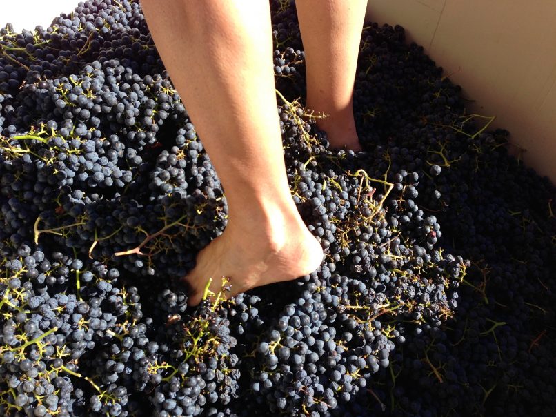 Your exhaustive guide to port wine and how to pair it