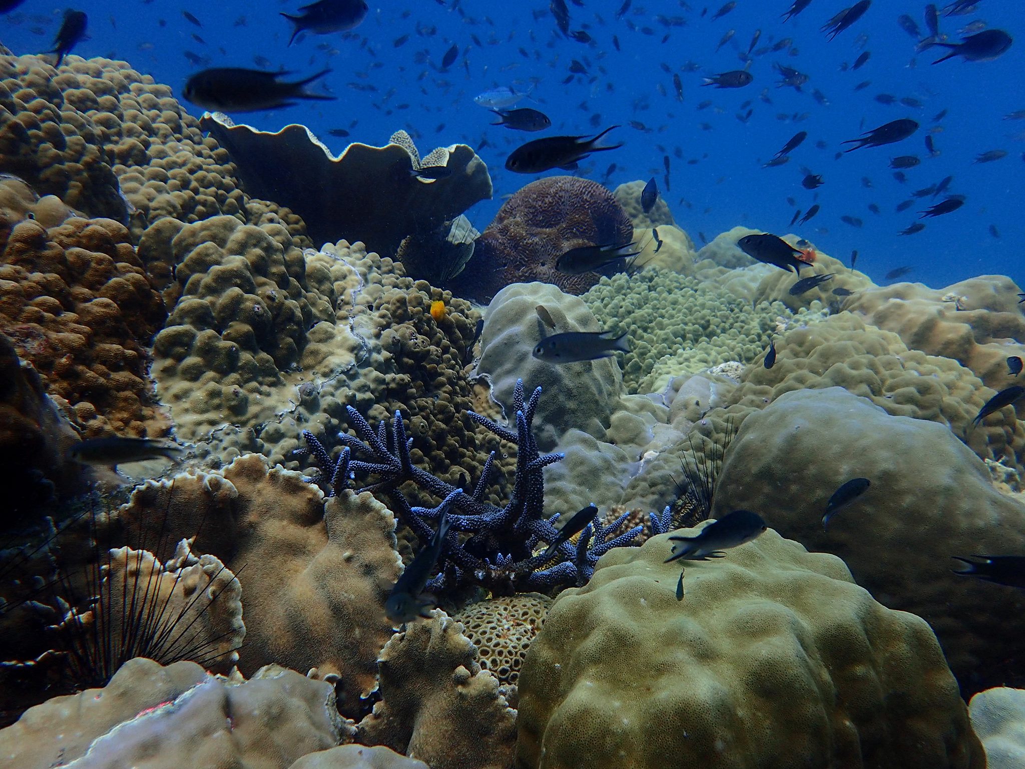 Island Guide: experience the ultimate luxury in Koh Kood