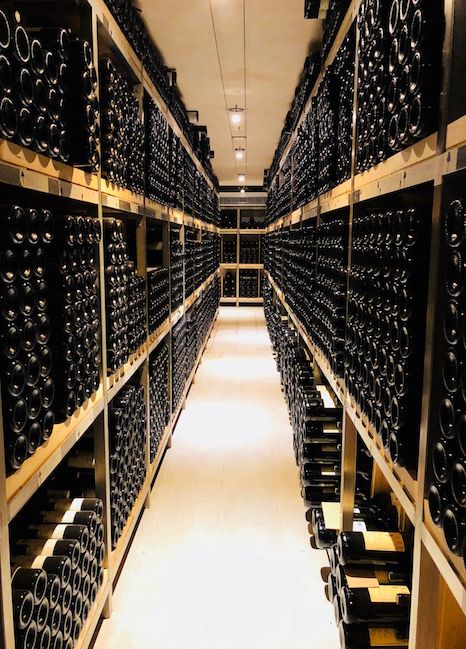An insider's guide to the famed winemakers of Piedmont