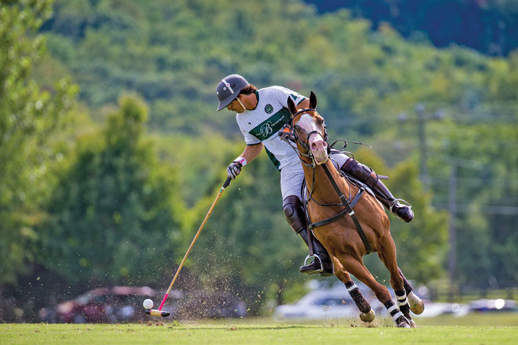 Why polo, the sport of kings is no longer reserved for royalty