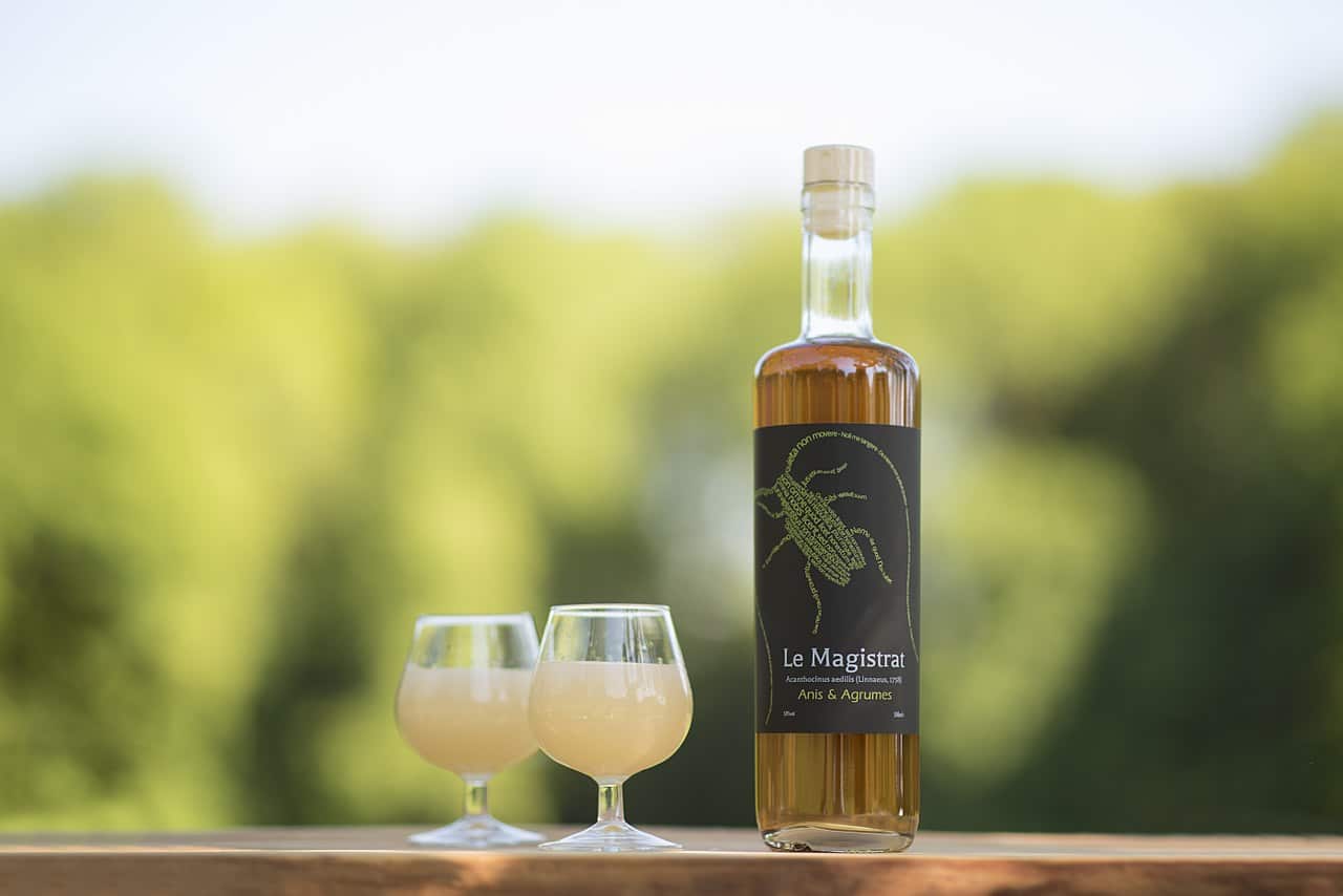 A guide to French aperitifs and why you should try them out today