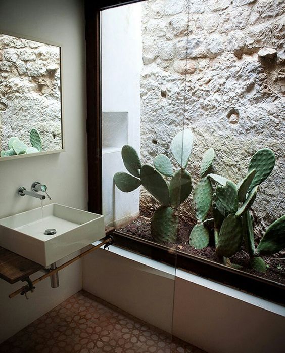 A guide to sprucing up your interiors with cacti and succulents