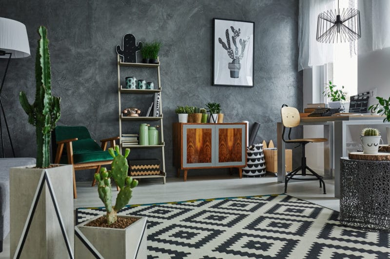 A guide to sprucing up your interiors with cacti and succulents