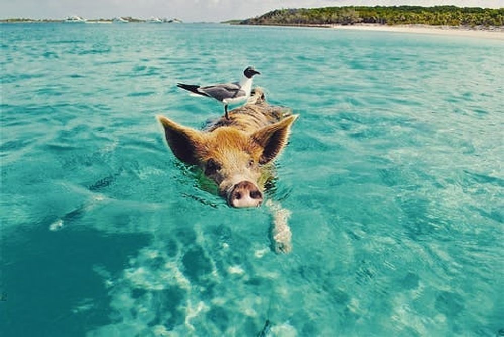 11 of the world's most unusual beaches to put on your bucket list