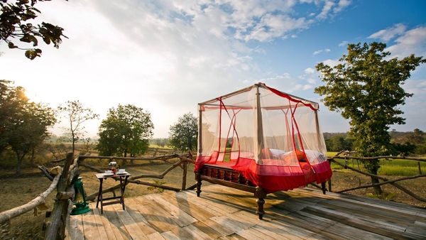 In the lap of nature: India's most stunning luxury wildlife resorts