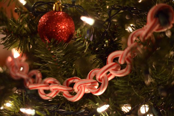History and fun facts about candy cane you may never have known