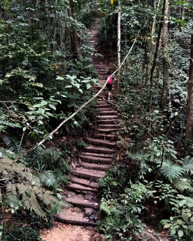 The best hiking trails around Klang Valley with amazing views