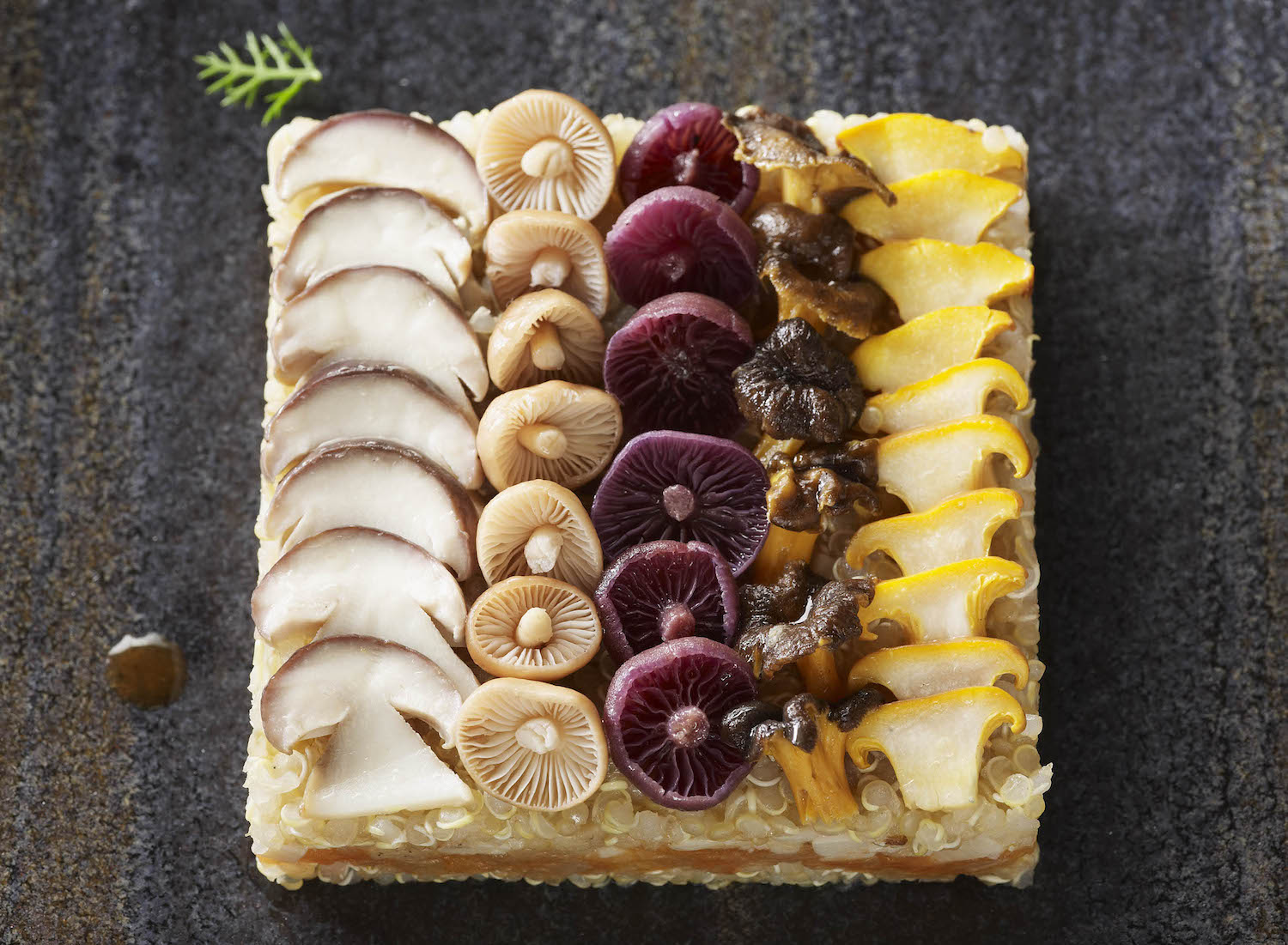 Q&A: Chef Jacques Marcon brings nature to the table