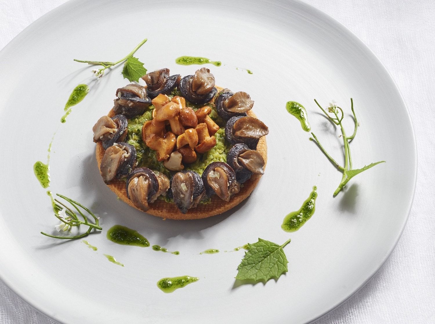 Q&A: Chef Jacques Marcon brings nature to the table