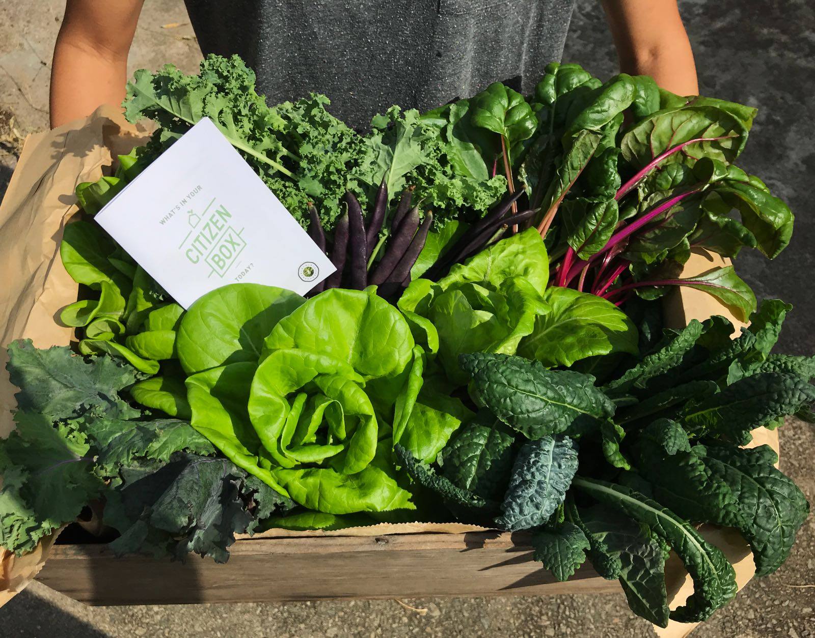 5 Singaporean farms deliver fresh, quality ingredients to your home