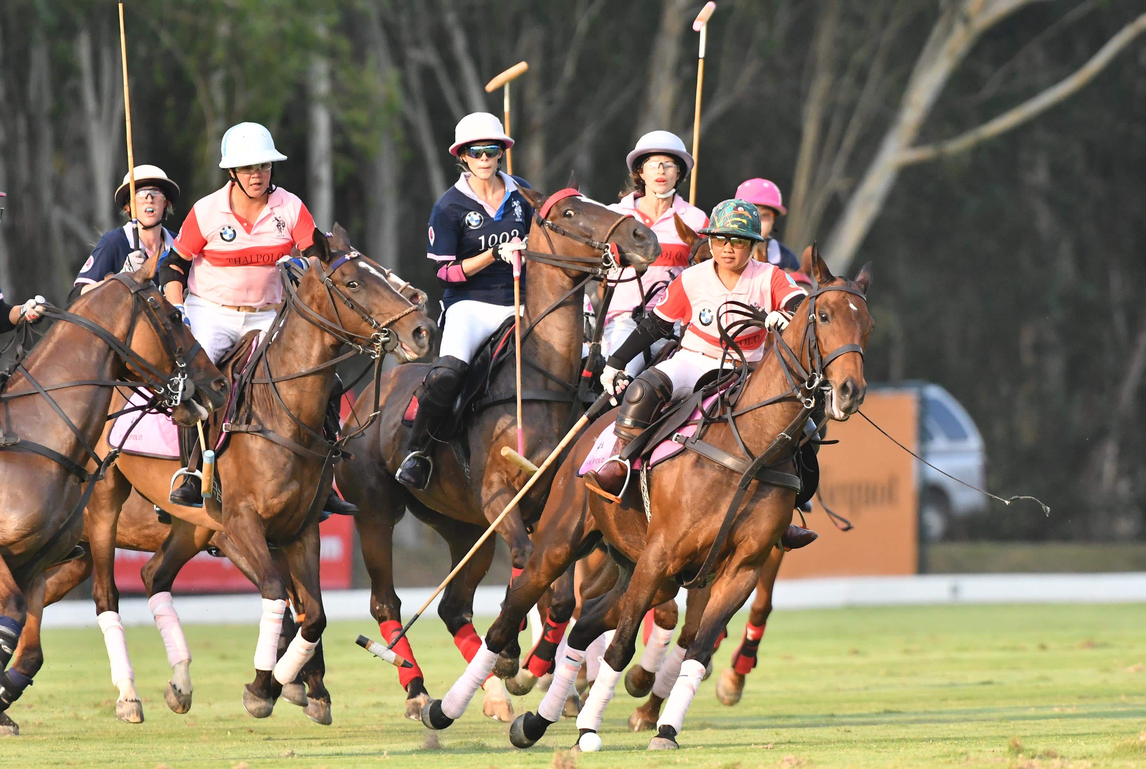 Gallery: Queen's Pink Polo 2019 at Thai Polo & Equestrian Club ...