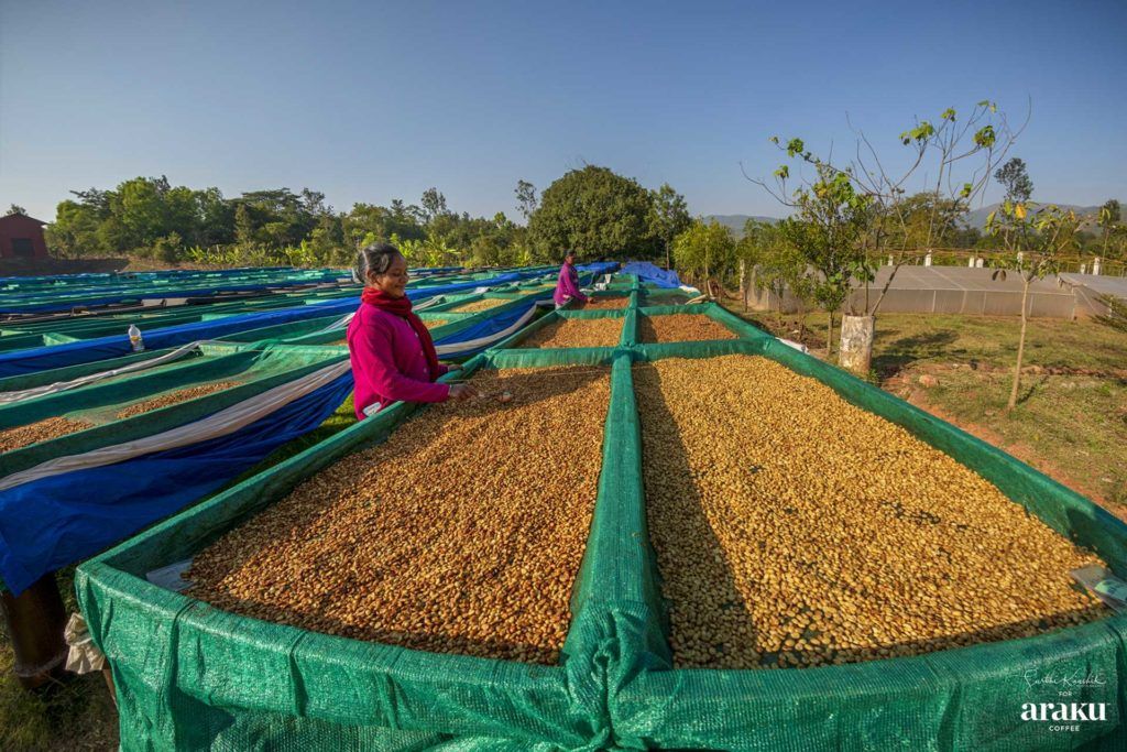 Here are the best artisanal coffee brands in India you must sip
