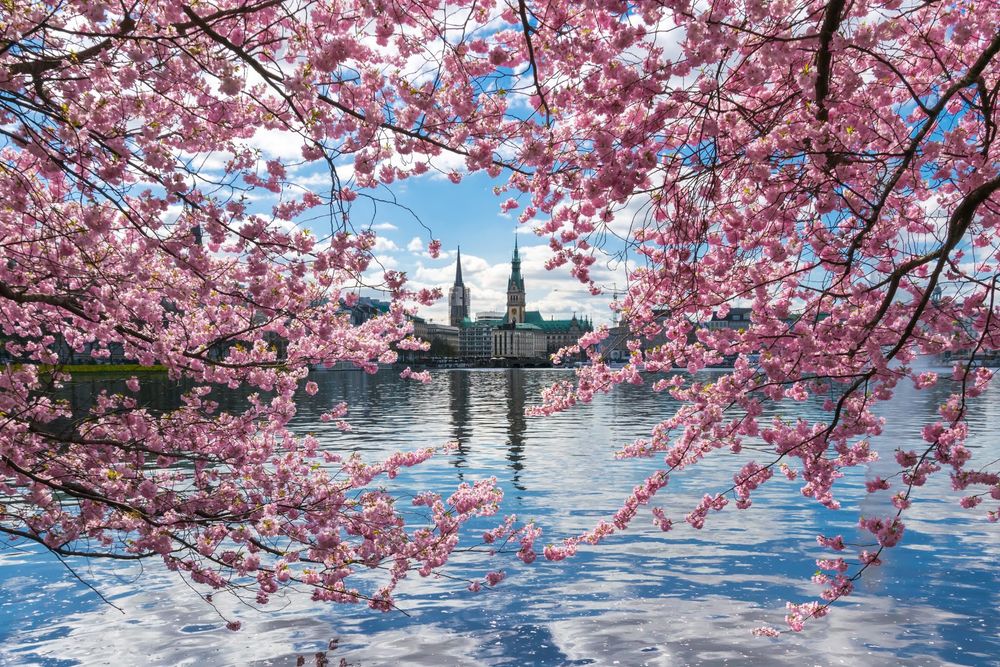 8 other places you can view the sakura outside of Japan