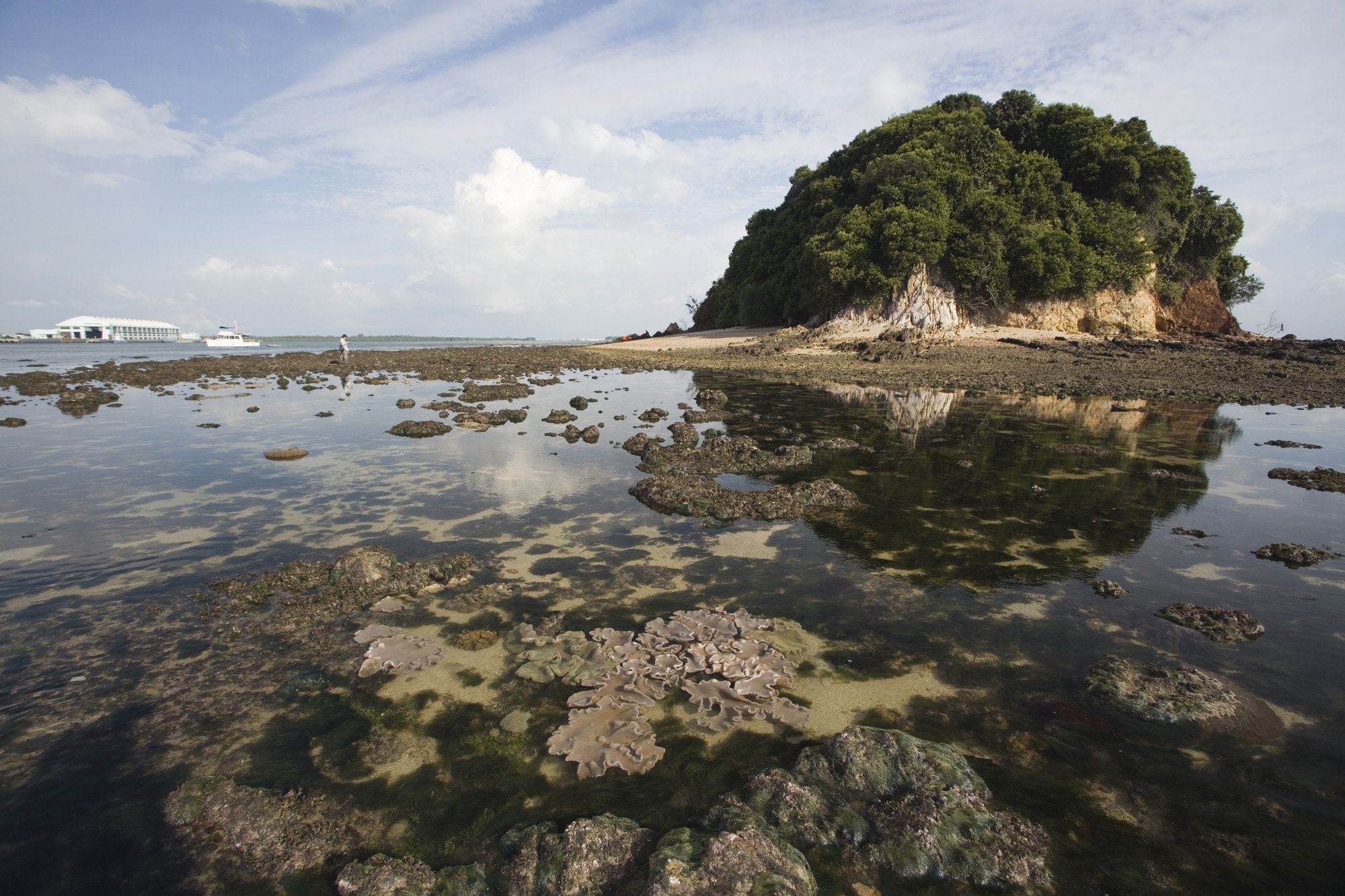 5 diving spots around Singapore | Lifestyle Asia Singapore