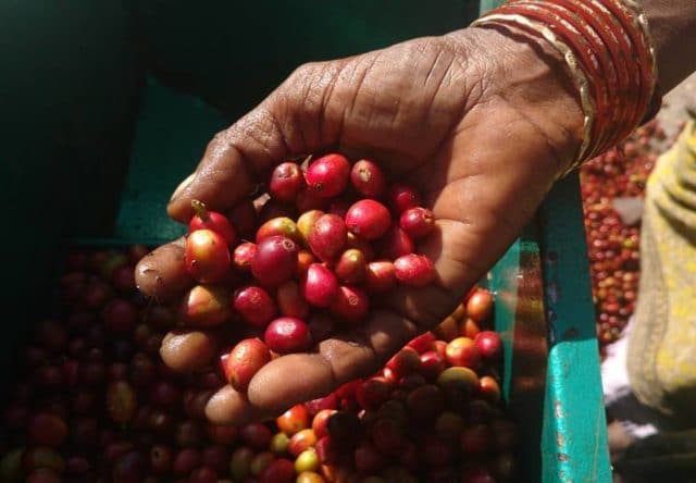 Here are the best artisanal coffee brands in India you must sip