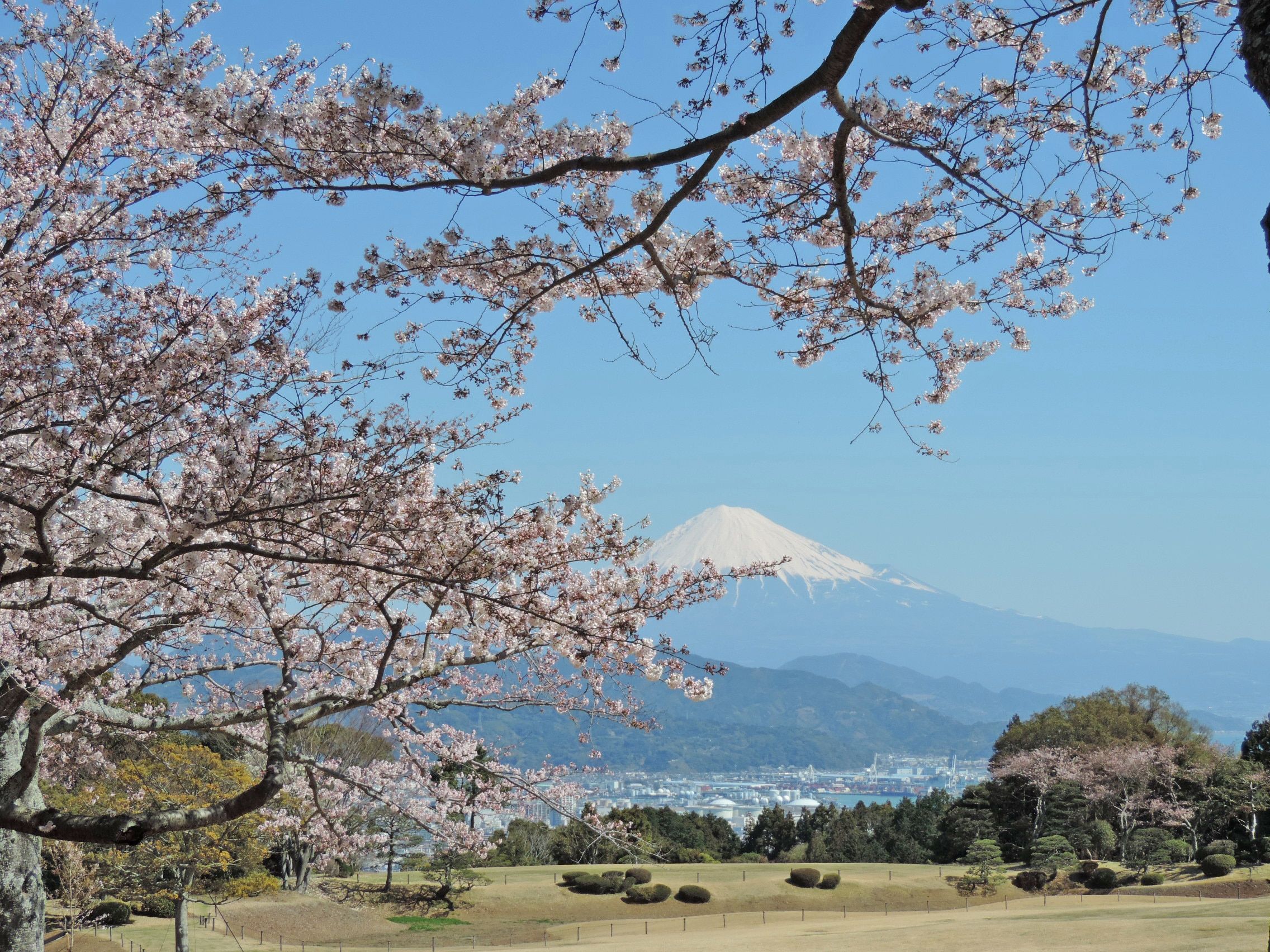 Check out: 72 hours in Japan's Shizuoka Prefecture