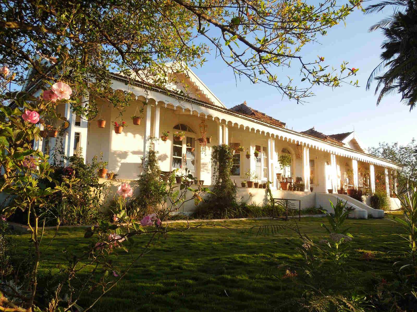 Hidden gems in South India: Experience the best plantation holidays