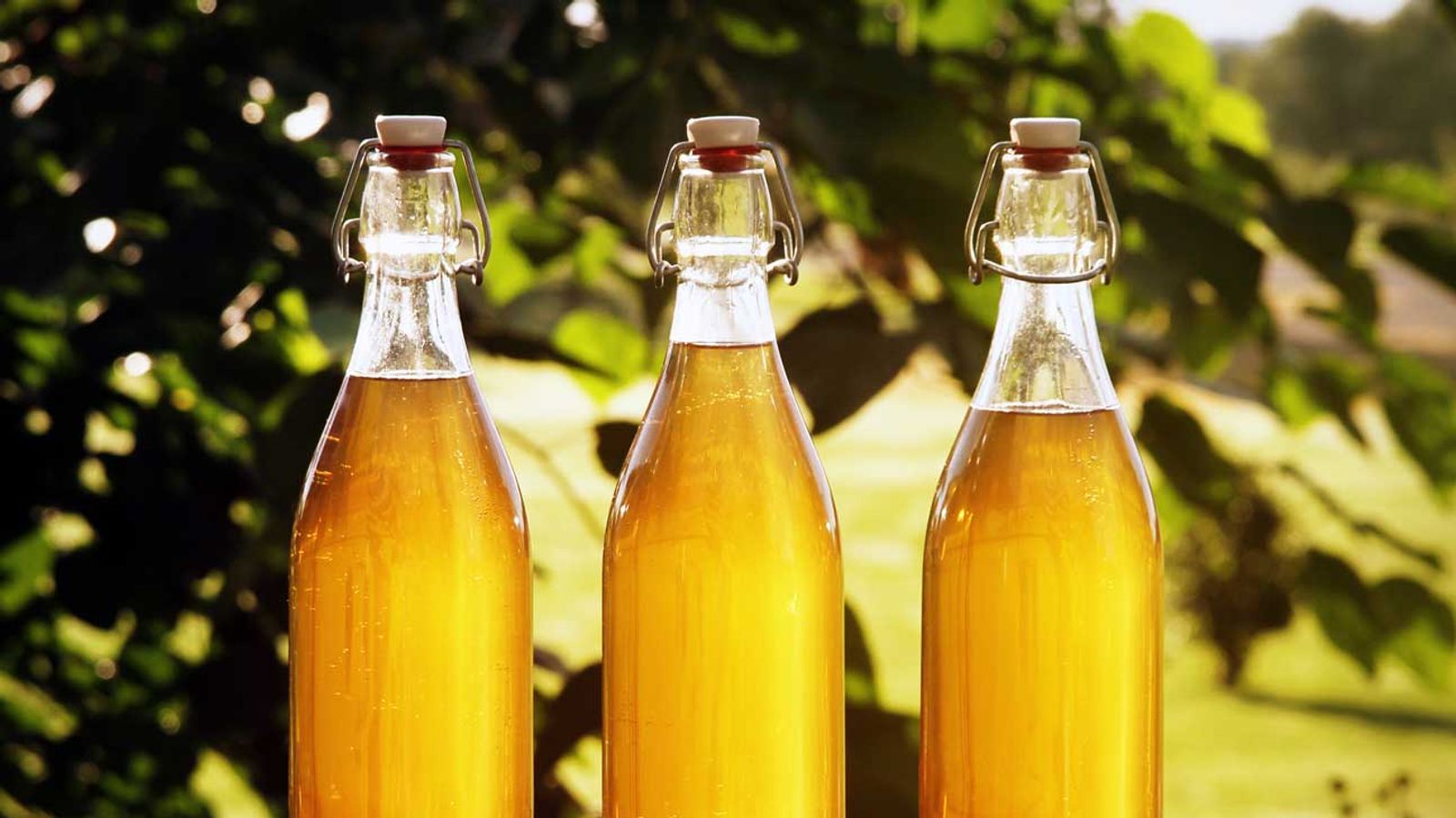 Get to know mead, the ancient brew that's making a modern comeback