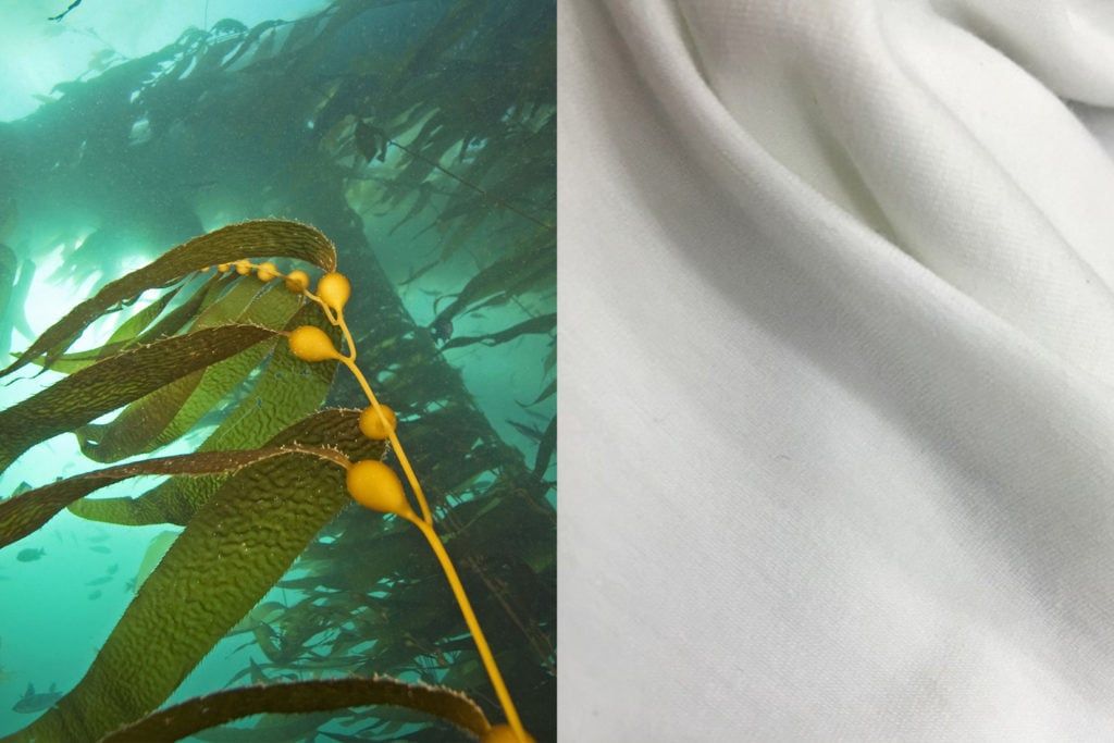 More fashion brands are exploring sustainable textiles made out of food ...