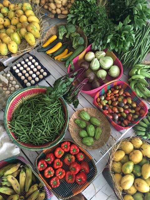 Clean living 101: India's best sustainable farms to get organic food.