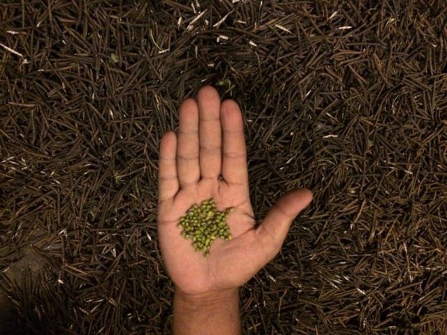 Clean living 101: India's best sustainable farms to get organic food.