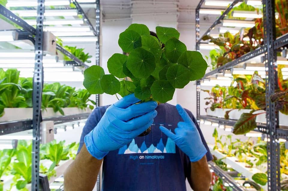 Clean living 101: India's best sustainable farms to get organic food.