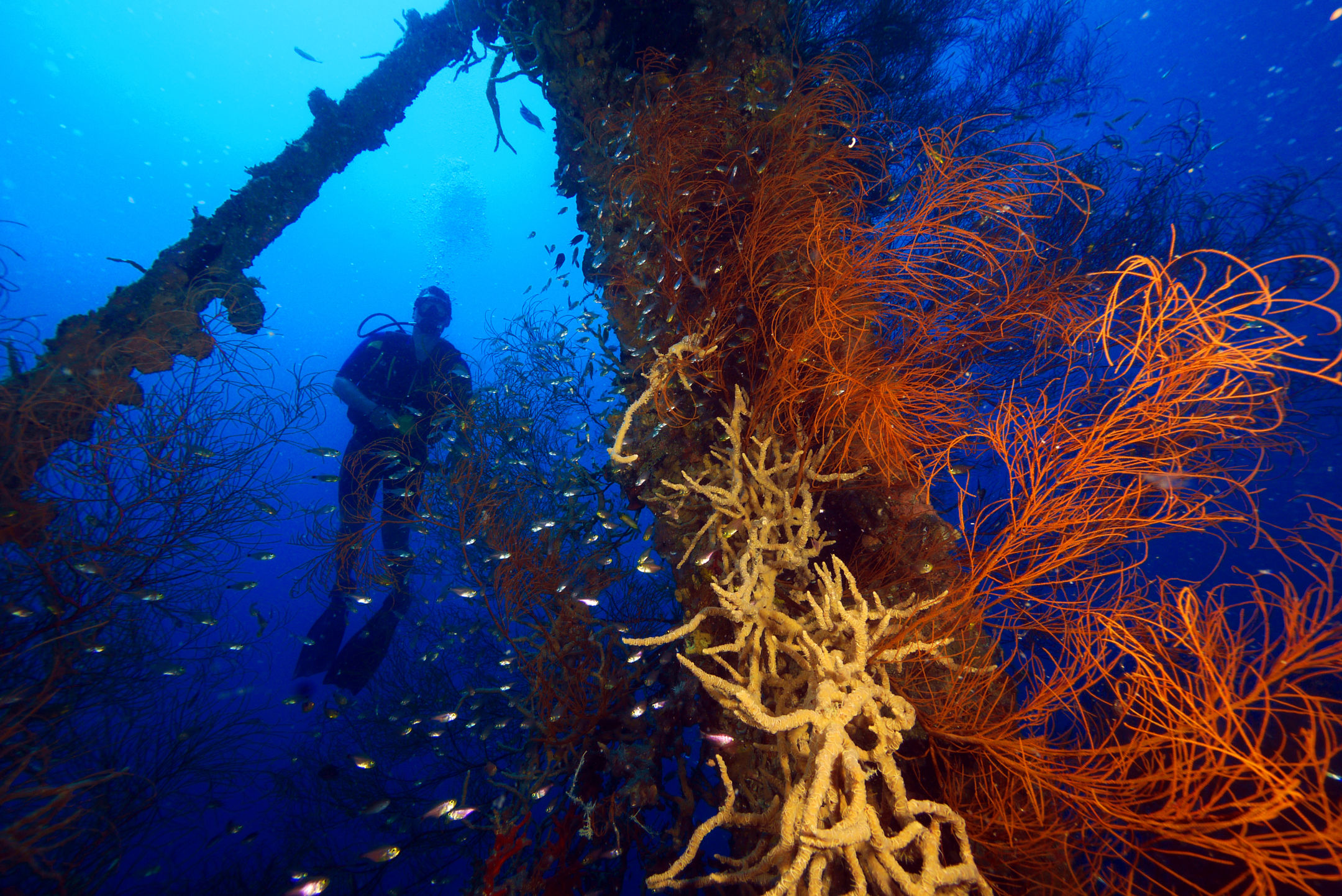 Check out: Coron Island in the Philippines is more than just the sun ...