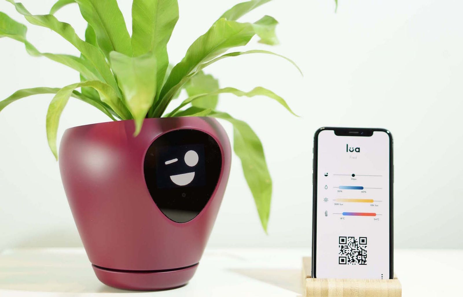 Gardening woes? This smart pot helps your plant express its 'feelings'