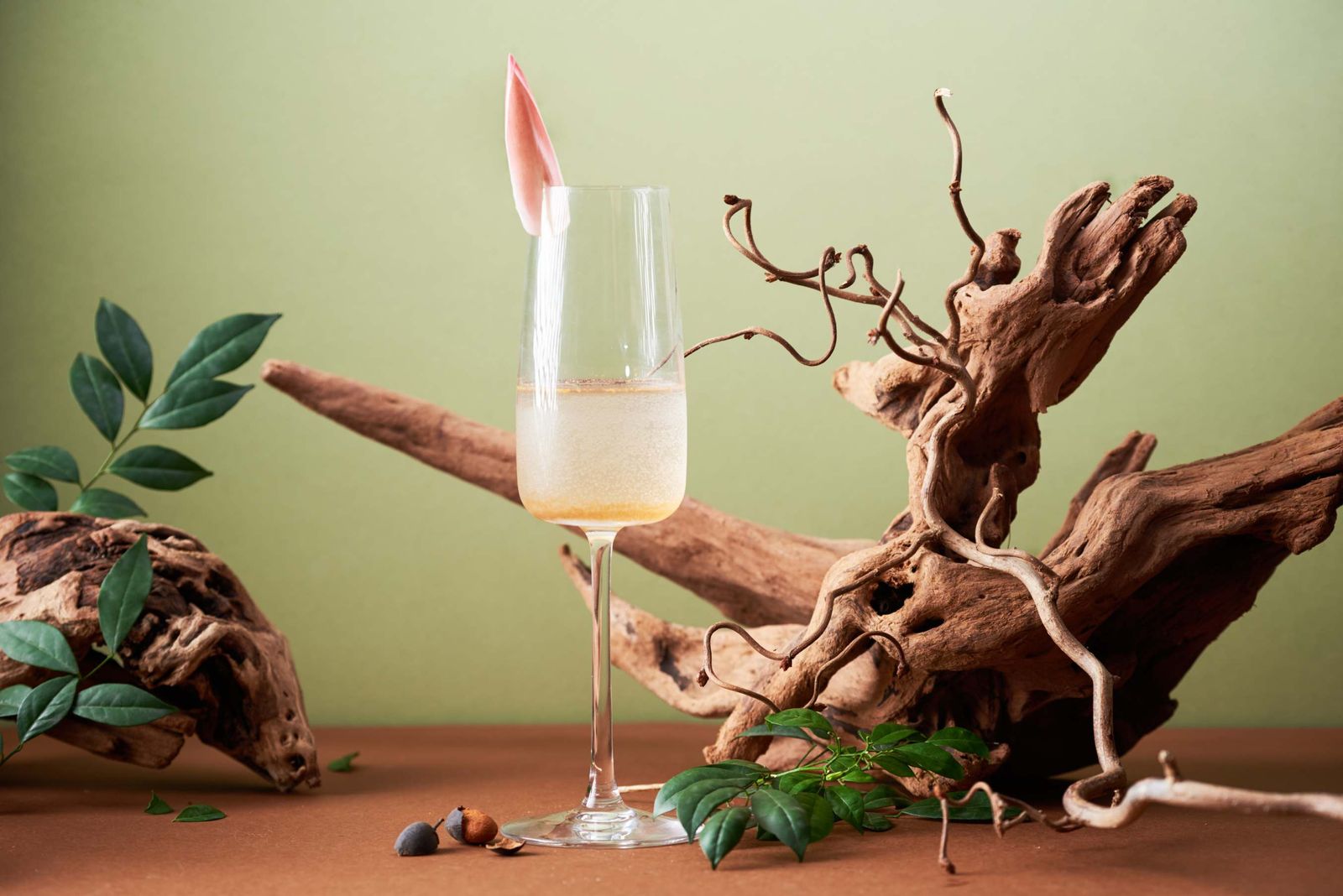 Review: Experience the fresh forages of our rainforests at Borneo ...