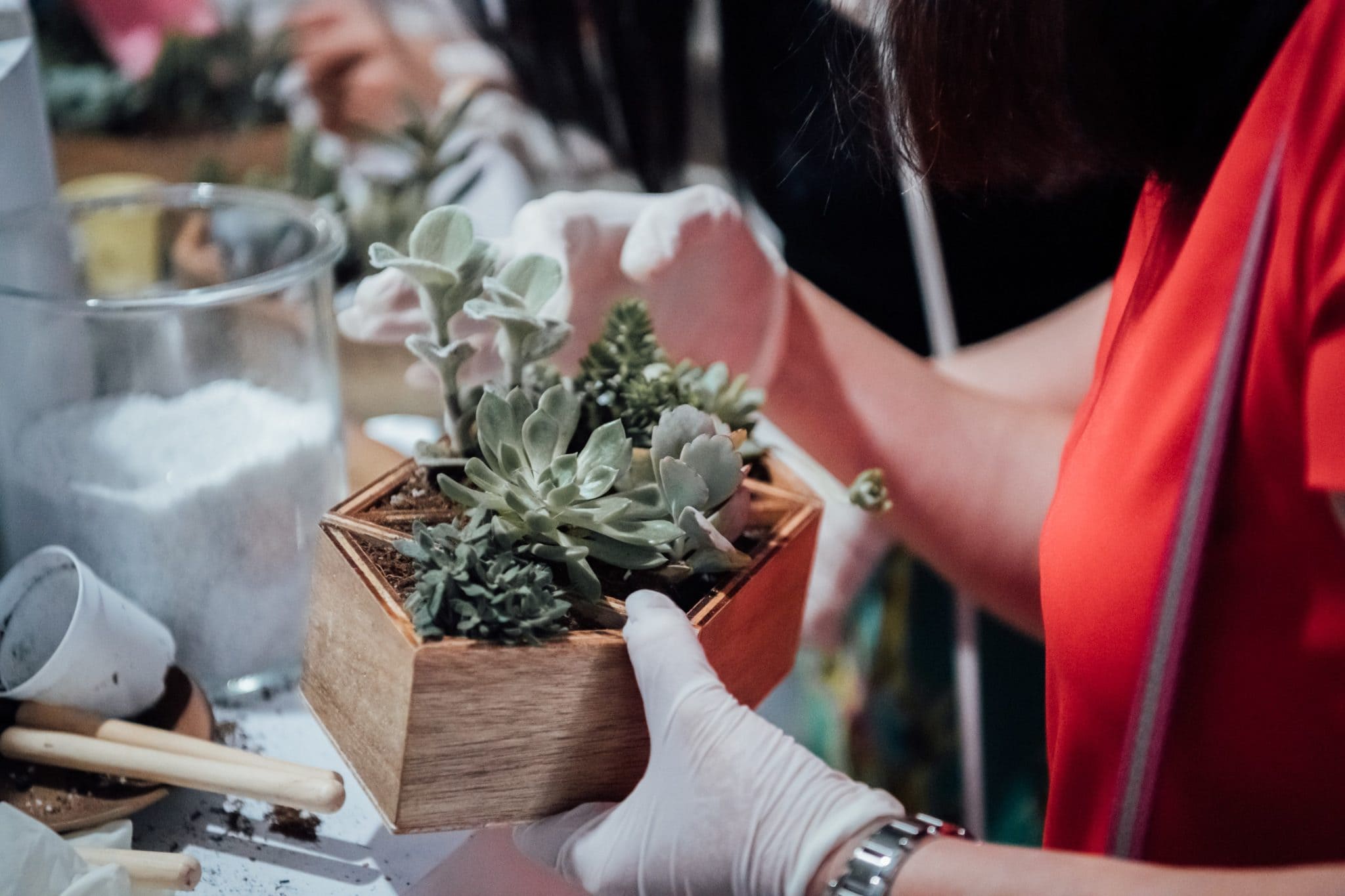 HSBC Jade introduces sustainability to investors in one magical evening