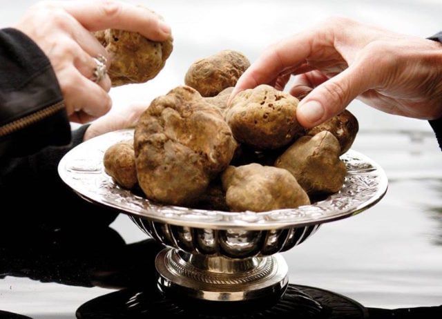 5 truffle products that will change the way you eat and look at truffle