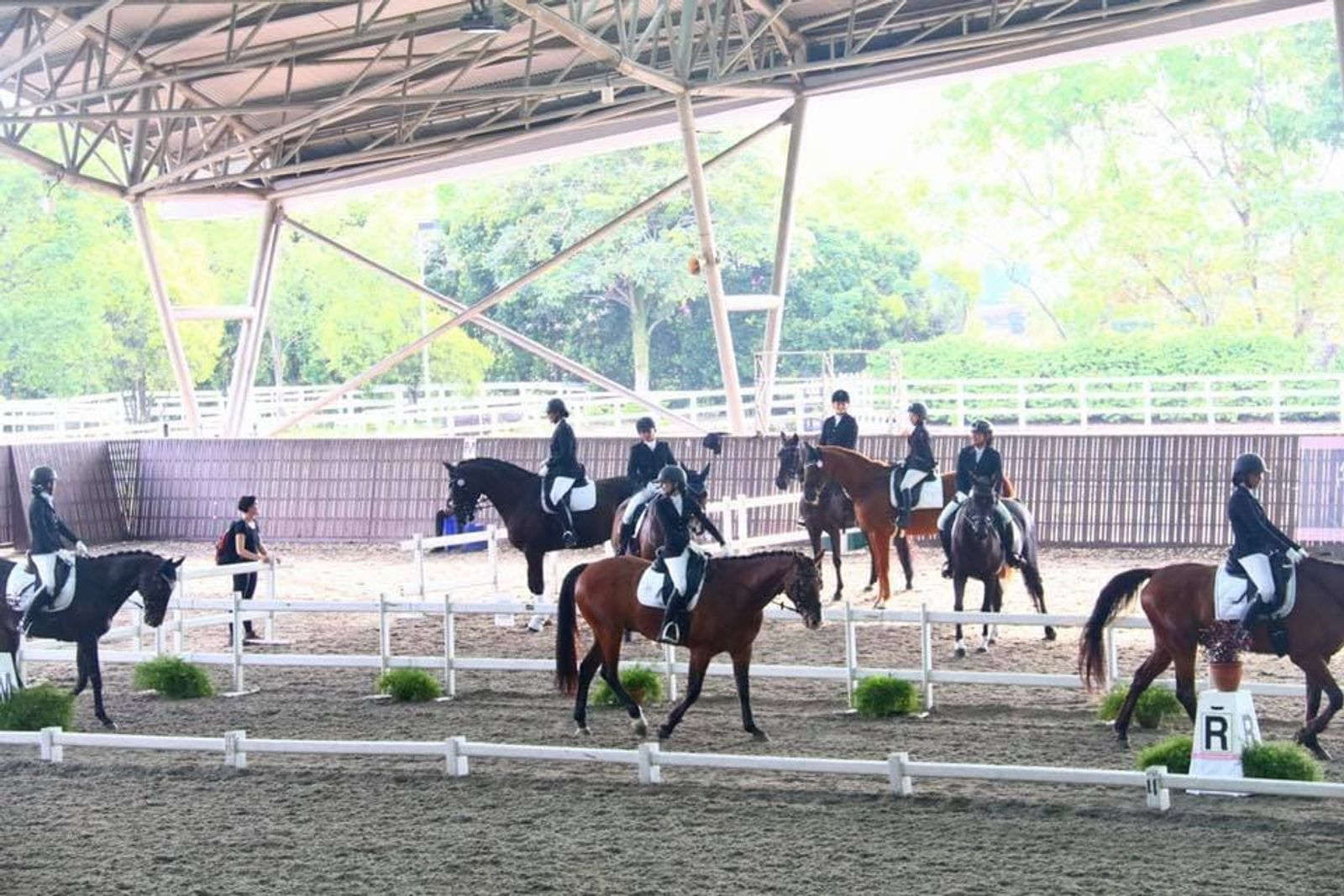 Where to learn horseback riding in Singapore