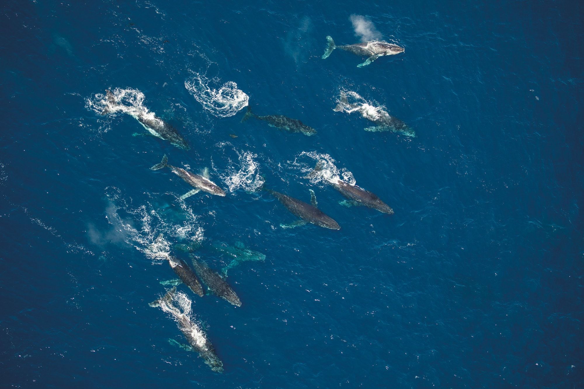 Netflix original documentaries are making the niche genre great again