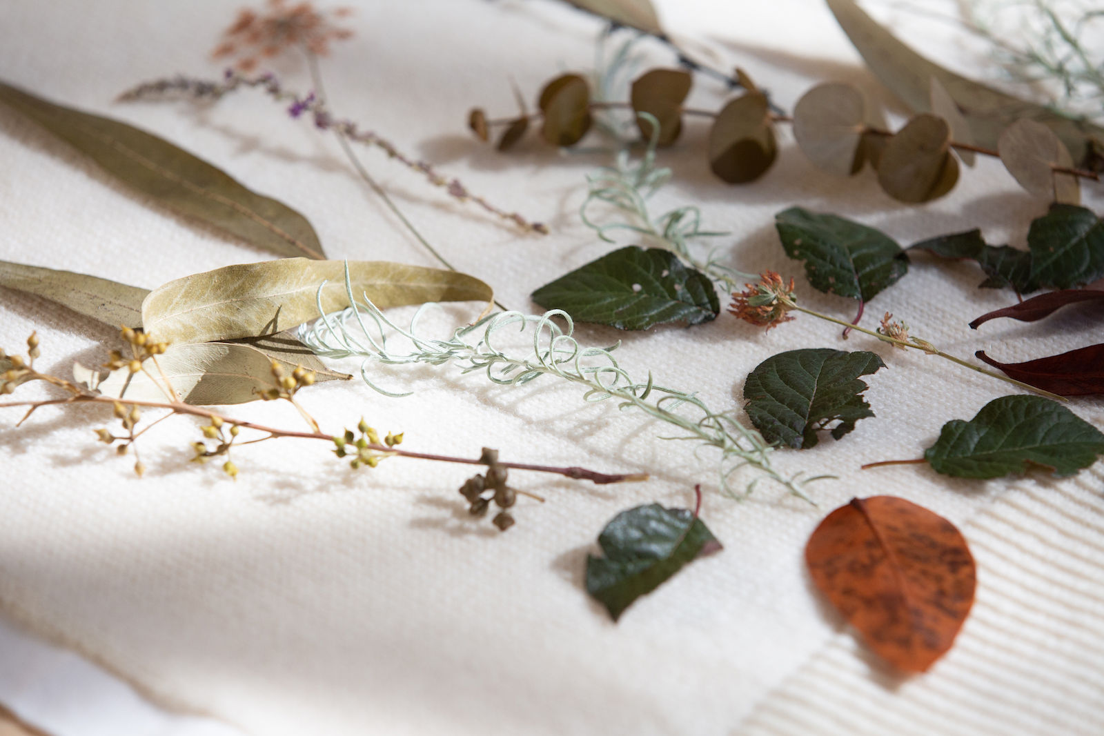 Sustainable fabrics made from foraged leaves take centre stage in Dior ...