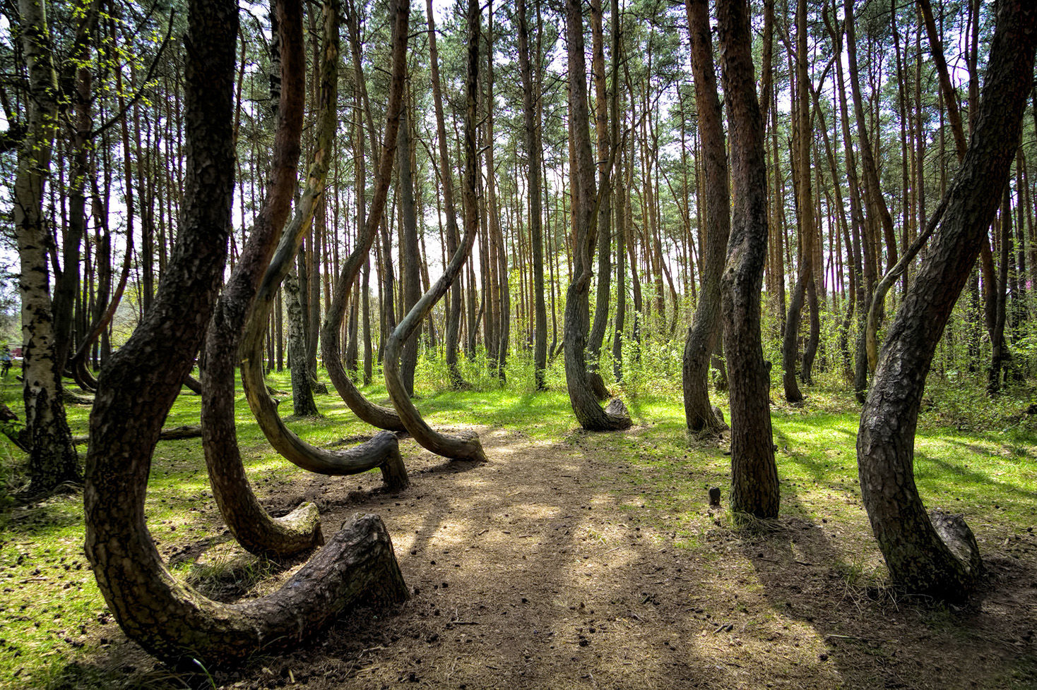 8 natural wonders of the world to place on your travel bucket list