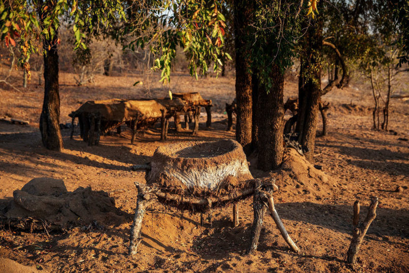 South Africa's sacred Baleni salt is finding its way into top restaurants