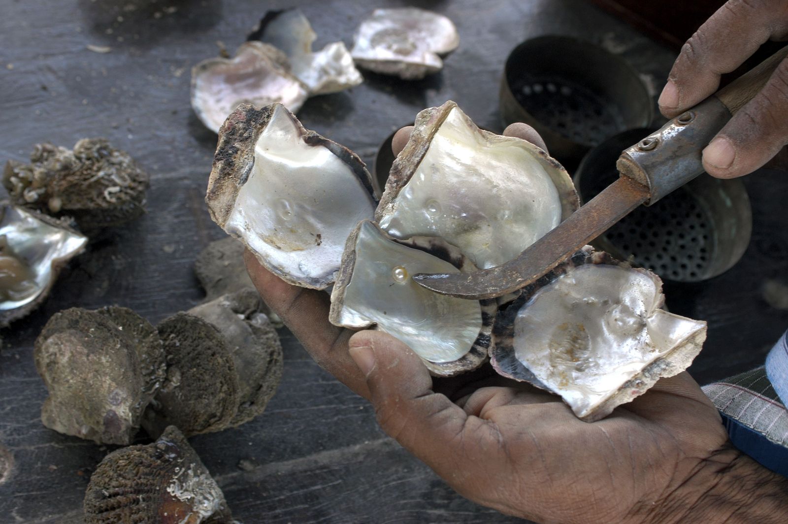 Dubai's history of pearl diving is seeing a revival