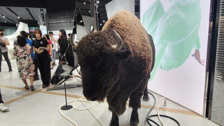 Gentle Monster Malaysia, kini di The Exchange TRX