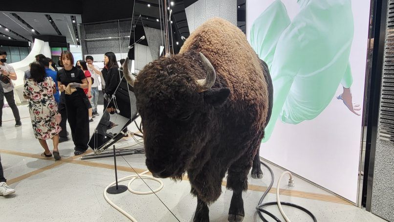 Gentle Monster Malaysia, kini di The Exchange TRX