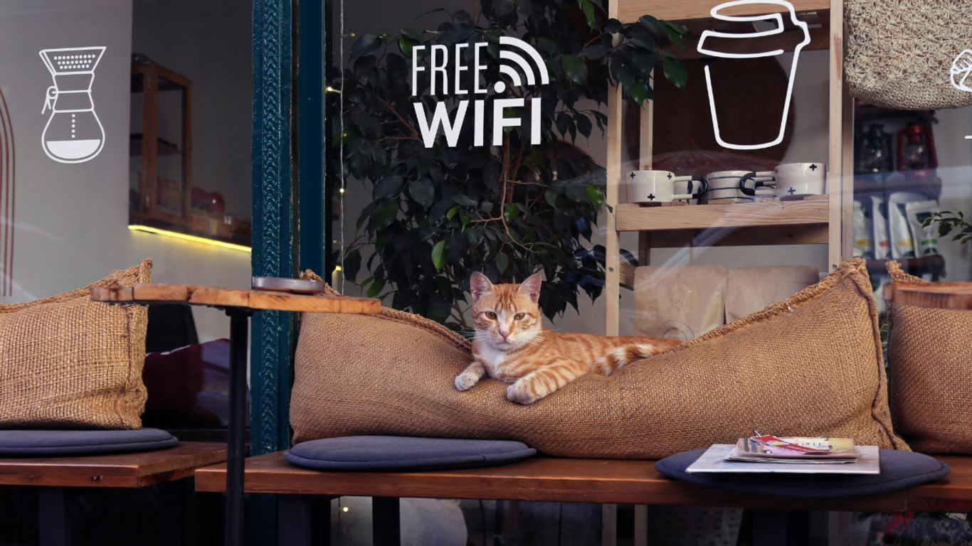 Cafe Kucing di KL Khas Untuk Si Pencinta Kucing