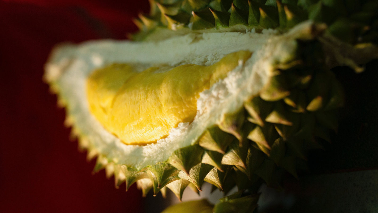Gerai durian famous, all you can eat dan delivery!